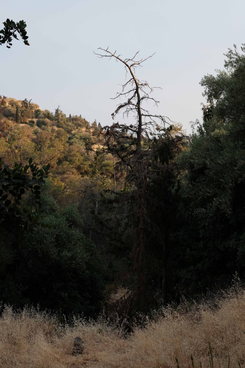 Stripe Partners — The new research playbook